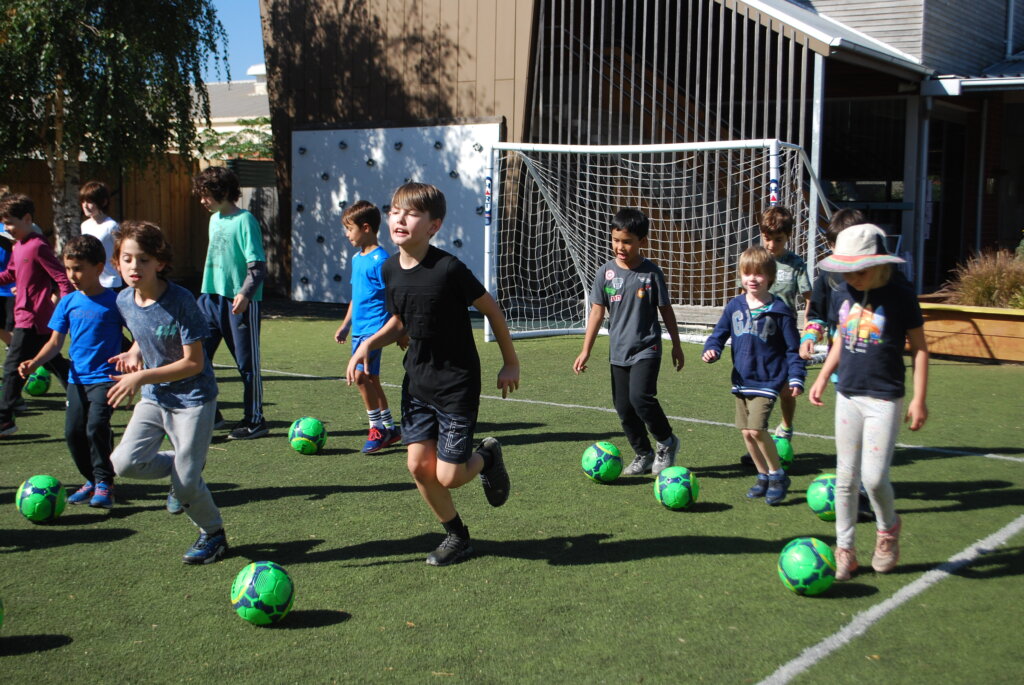 Montessori Sports – Montessori Training Center Northeast